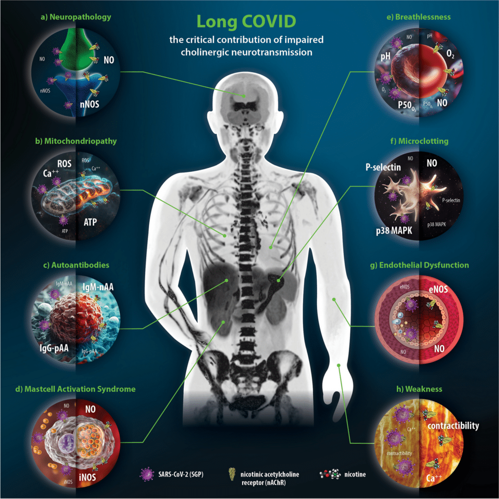 42234_2025_167_Fig1_HTML – IMA Forums